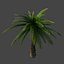 Max Palm Tree