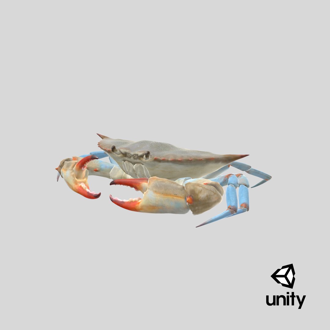 3d Model Chesapeake Blue Crab