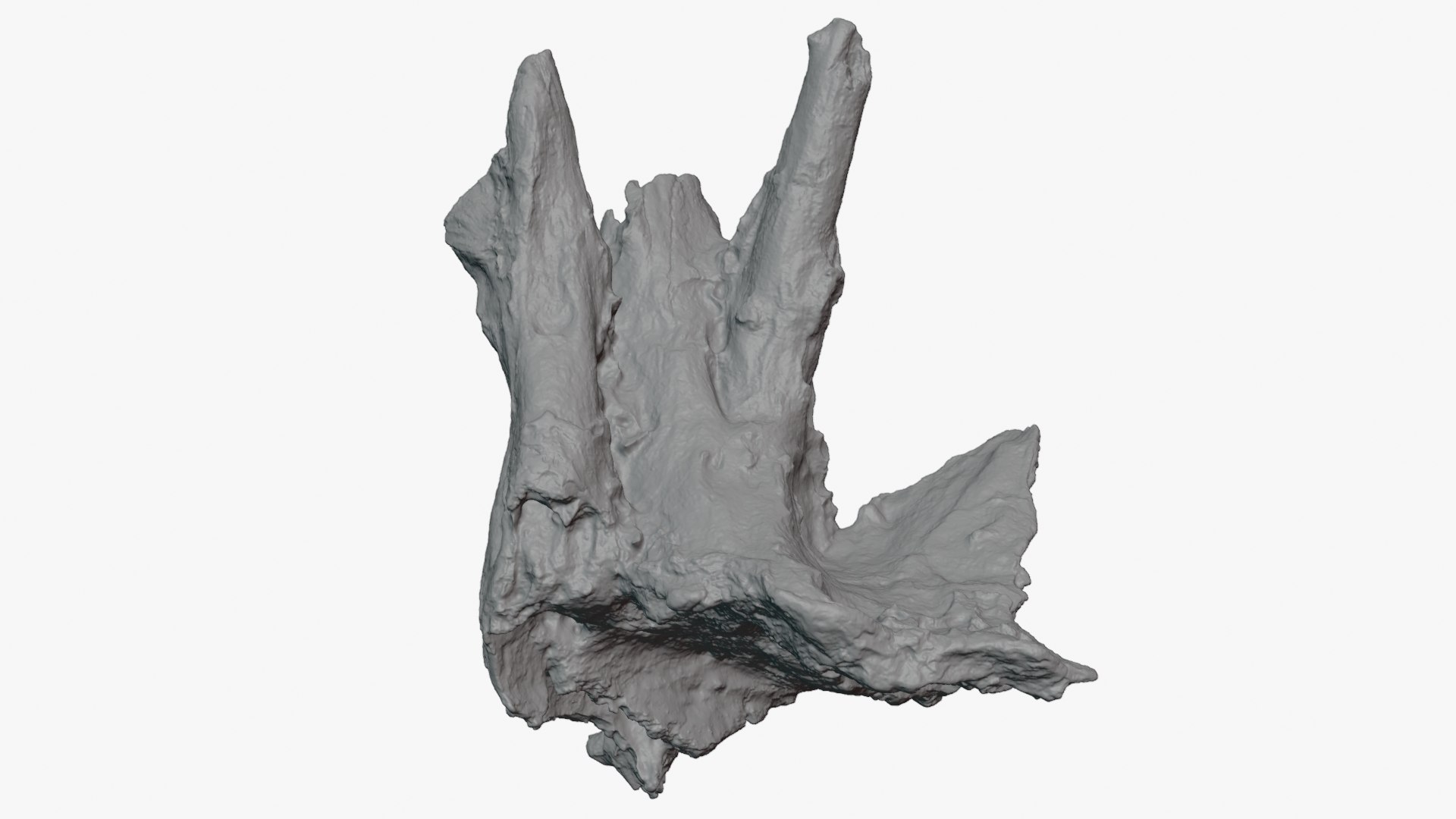 Tree Trunk Piece 07 - For 3D Print 3D Model - TurboSquid 2493579