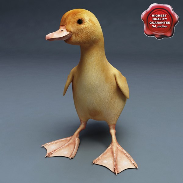 duckling static 3d model