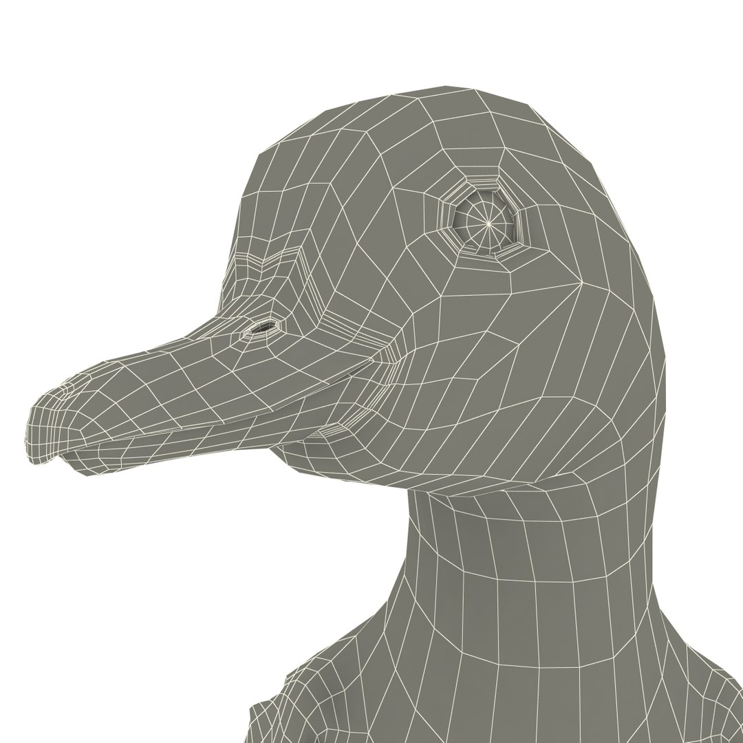 3d Duckling Pose1 Model