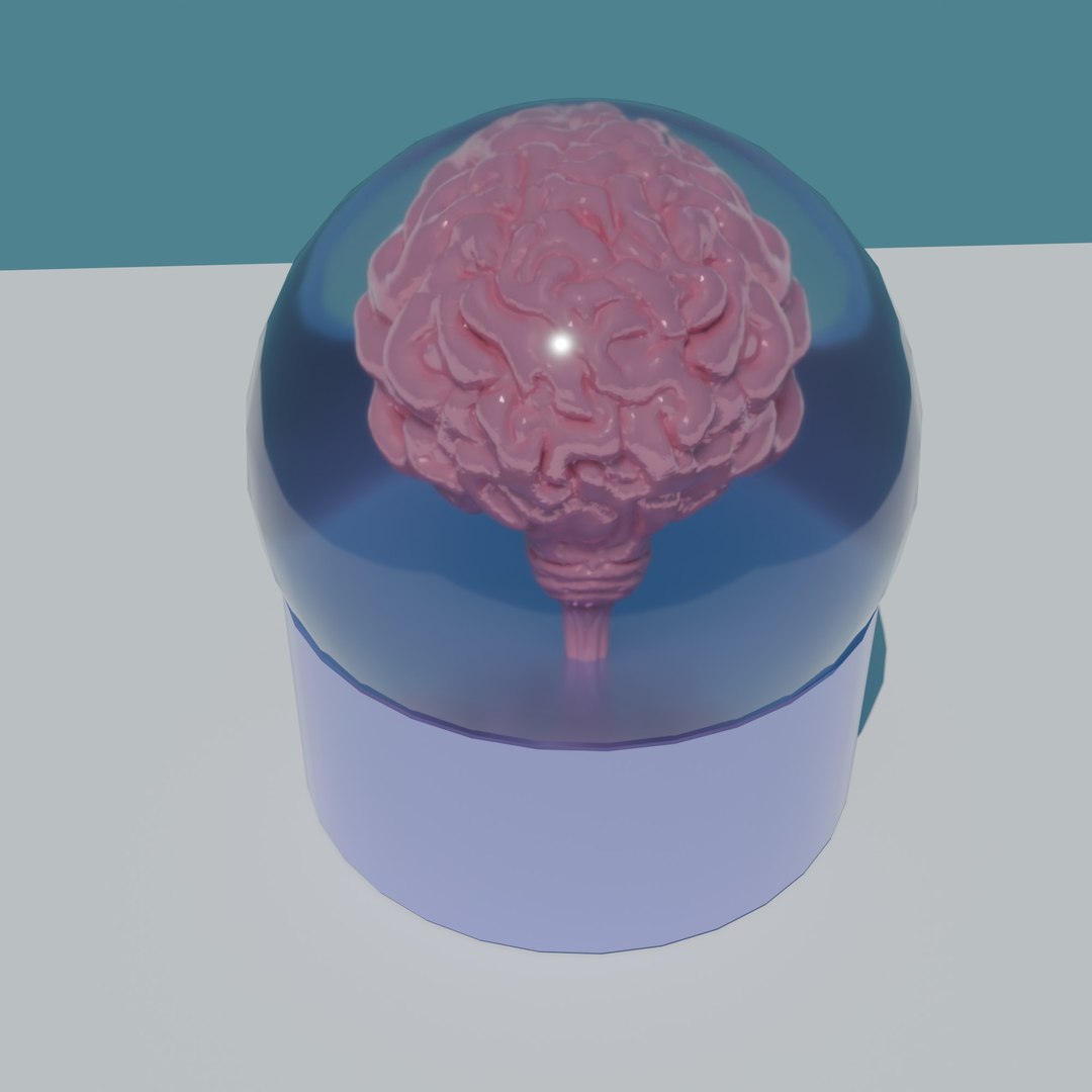 Brain In A Glass Case 3D - TurboSquid 2412535