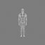 male body template human 3d model