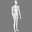 male body template human 3d model