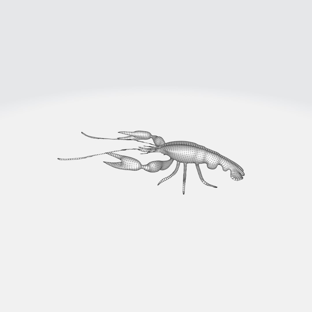 3D River Lobster Model - TurboSquid 2268870
