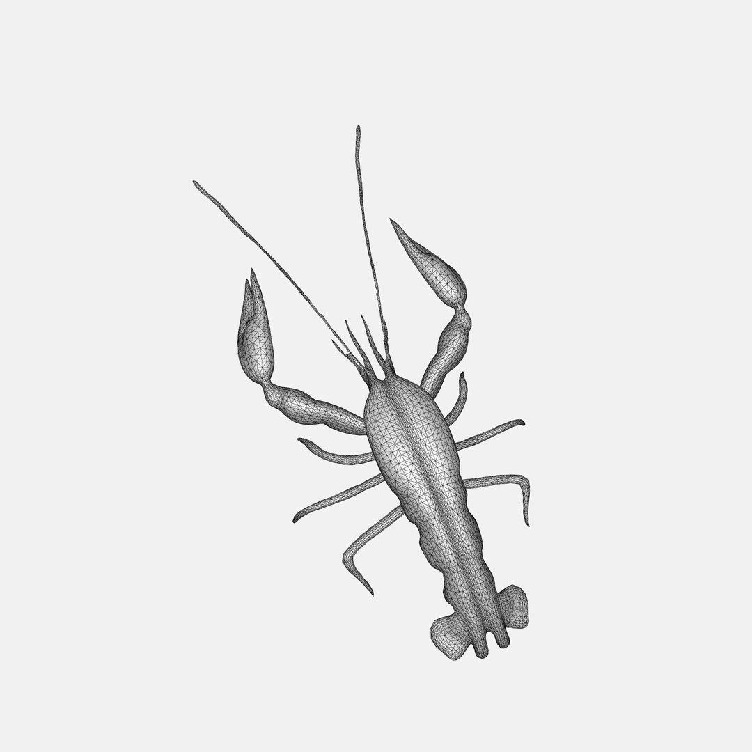 3D River Lobster Model - TurboSquid 2268870