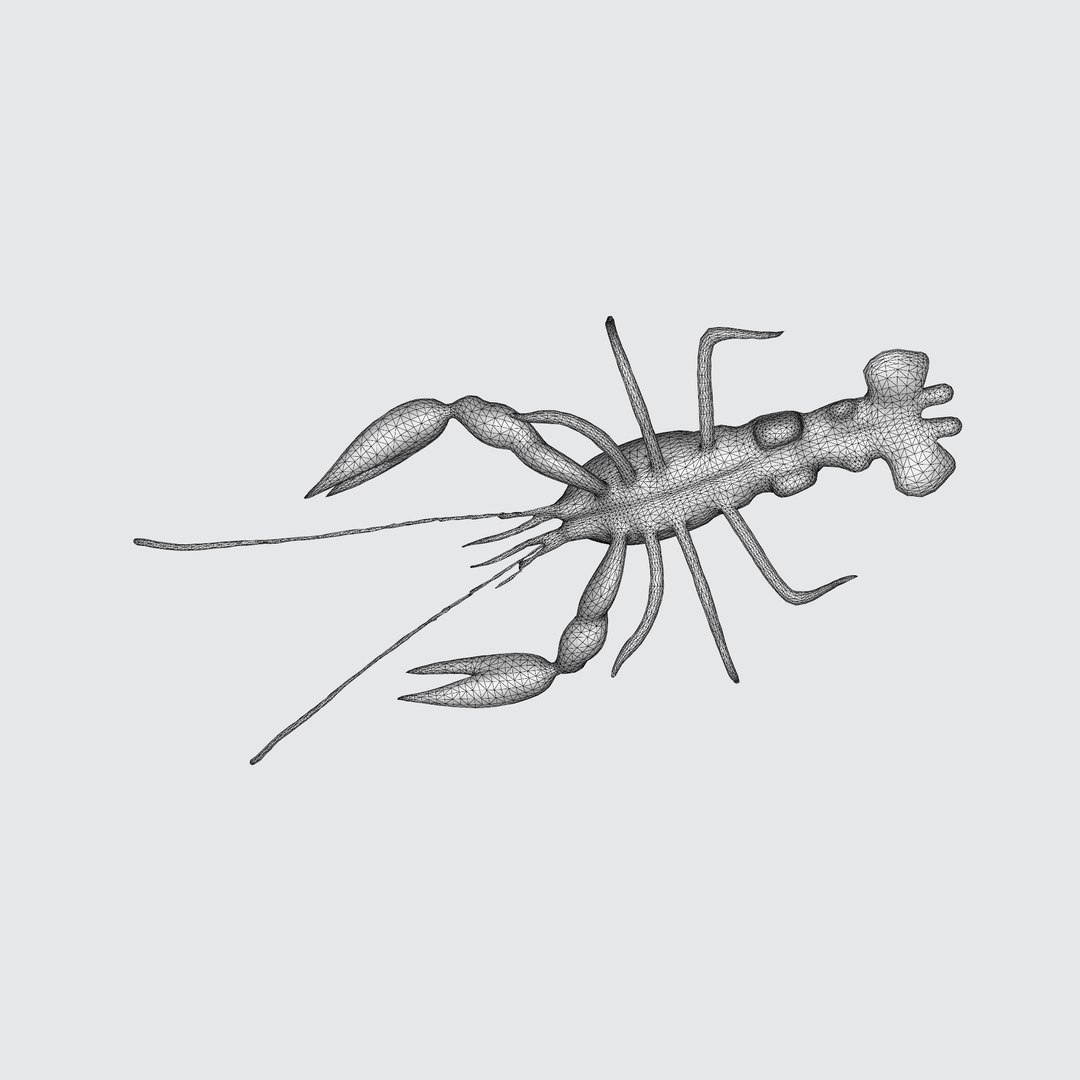 3D River Lobster Model - TurboSquid 2268870