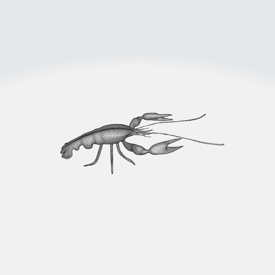 3D River Lobster Model - TurboSquid 2268870