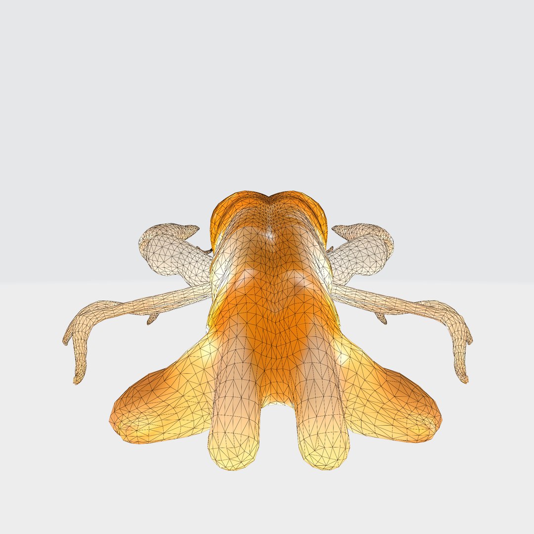3D River Lobster Model - TurboSquid 2268870