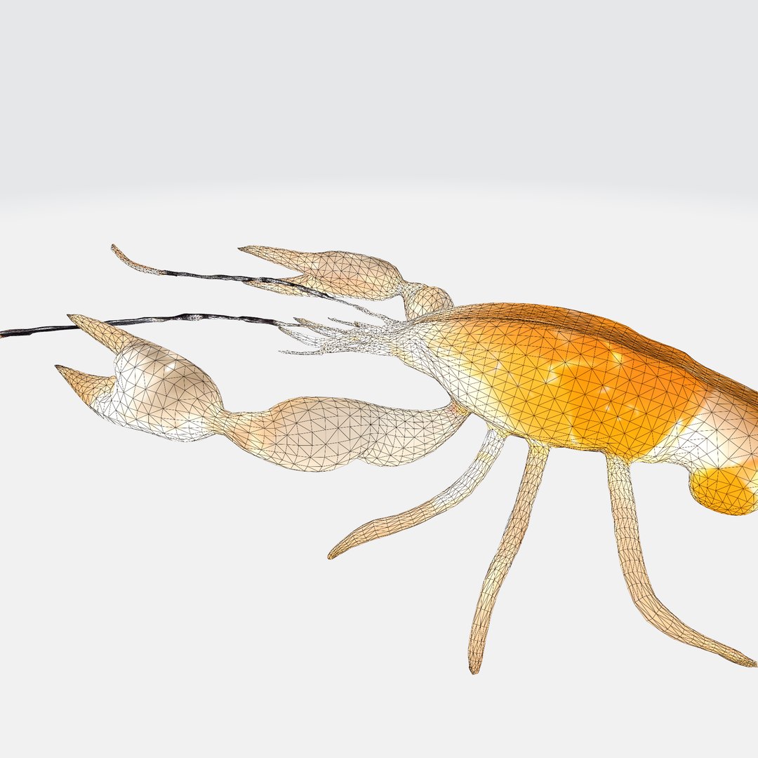 3D River Lobster Model - TurboSquid 2268870