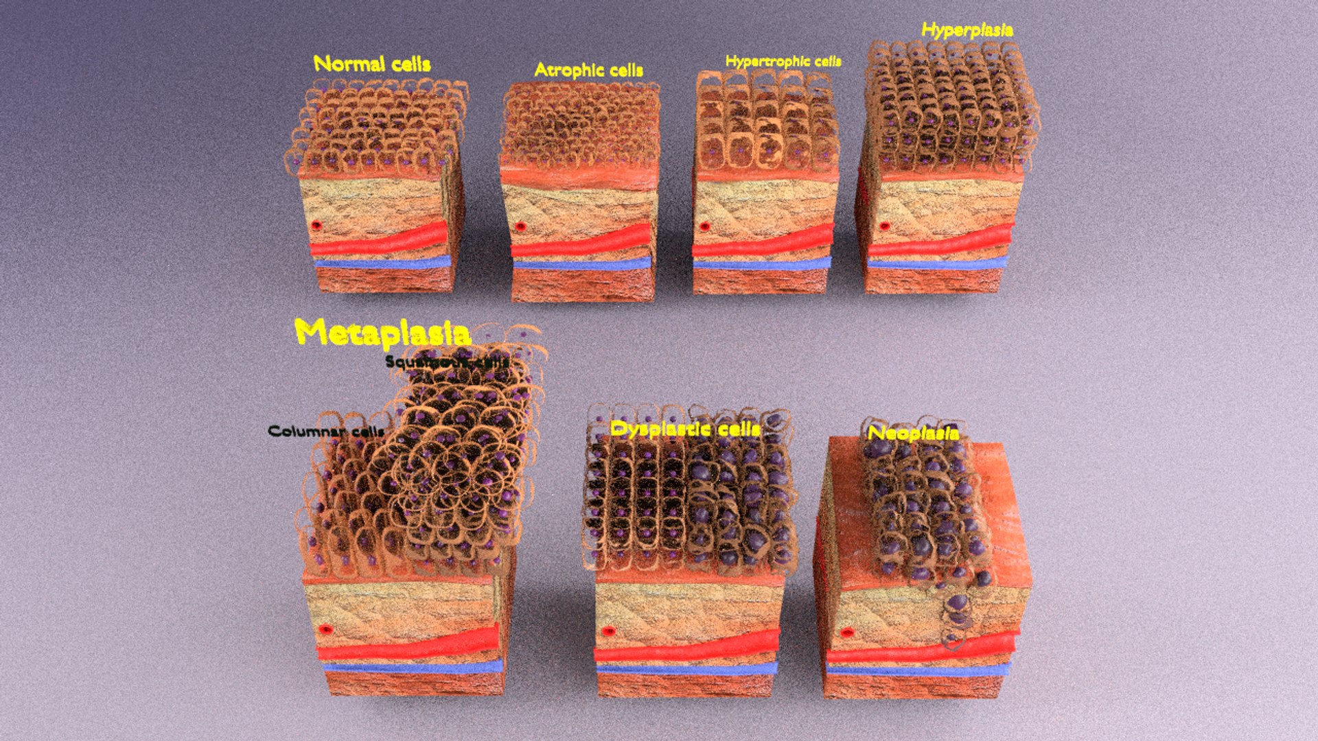 3D cellular adaptation - TurboSquid 1701655