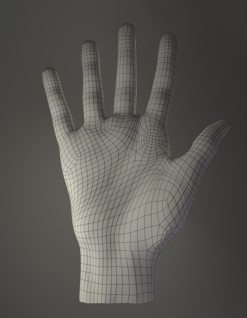 Hands Blender Topology 3D Model - TurboSquid 1232969