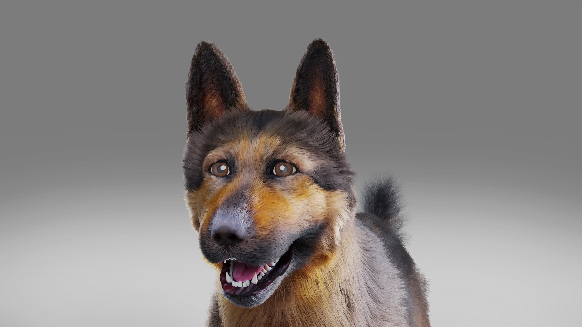 Fur German Shepherd No Rigged 3D - TurboSquid 1919747