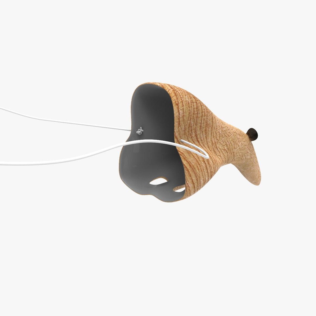 Witch S Nose 3D Model - TurboSquid 1214211