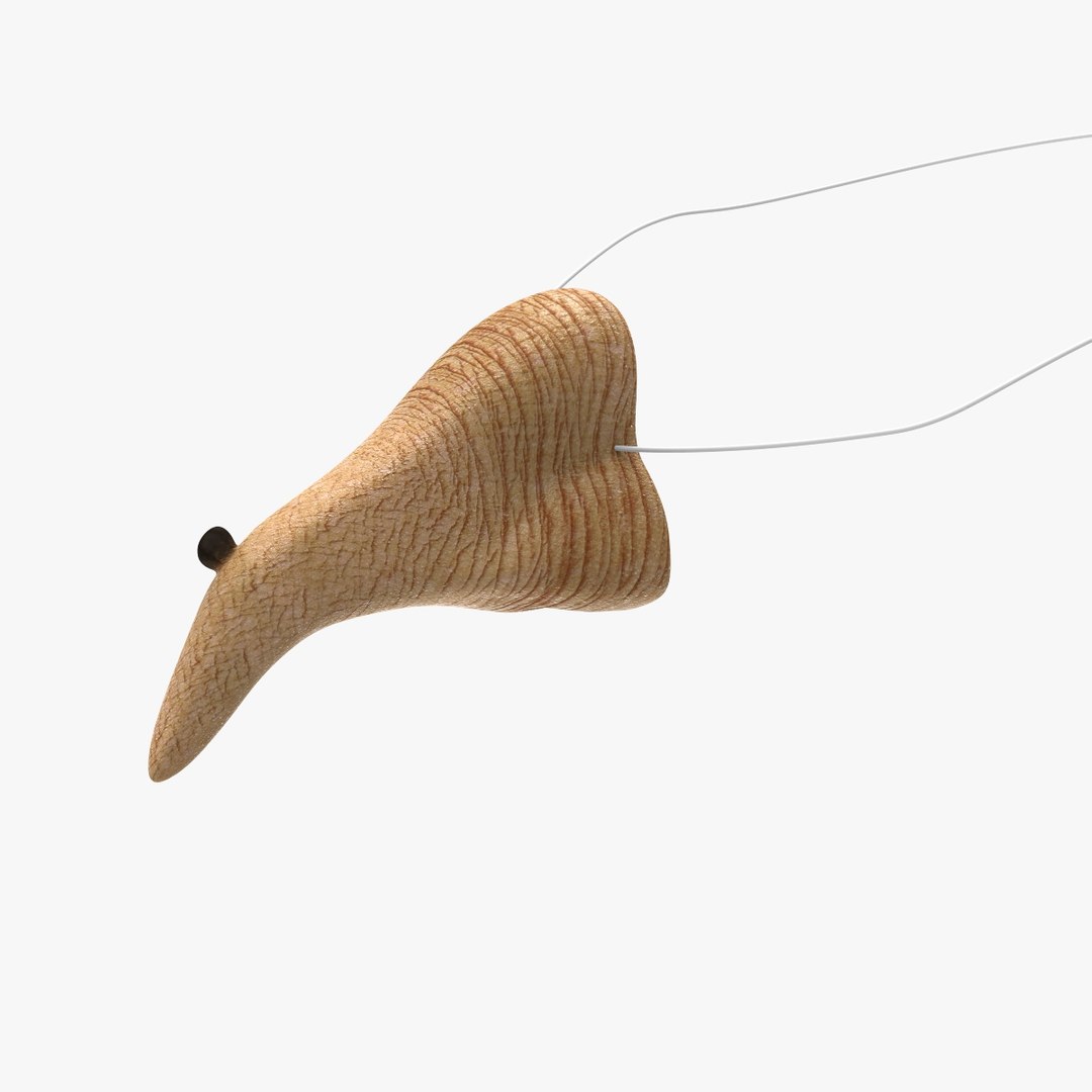 Witch S Nose 3D Model - TurboSquid 1214211