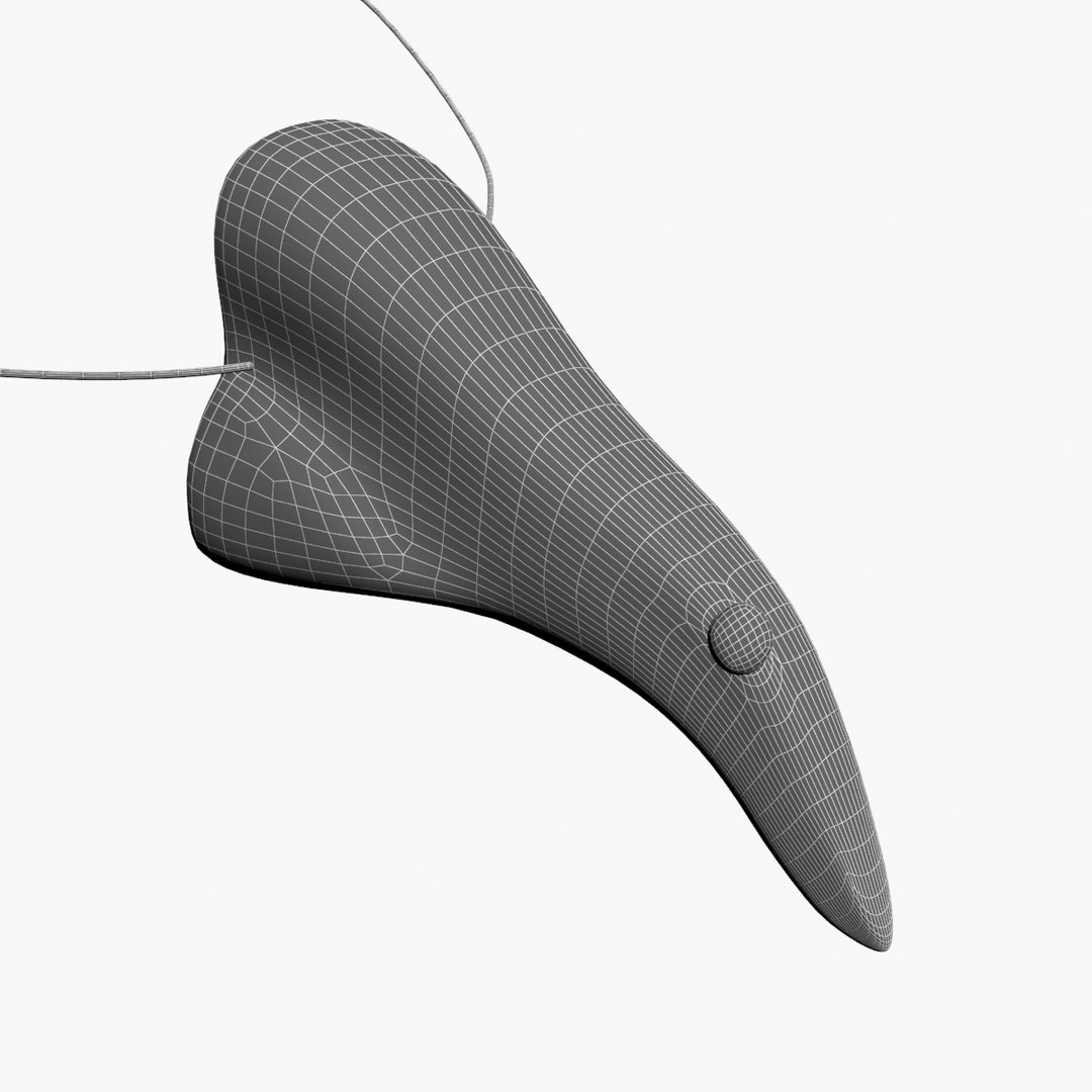 Witch S Nose 3D Model - TurboSquid 1214211