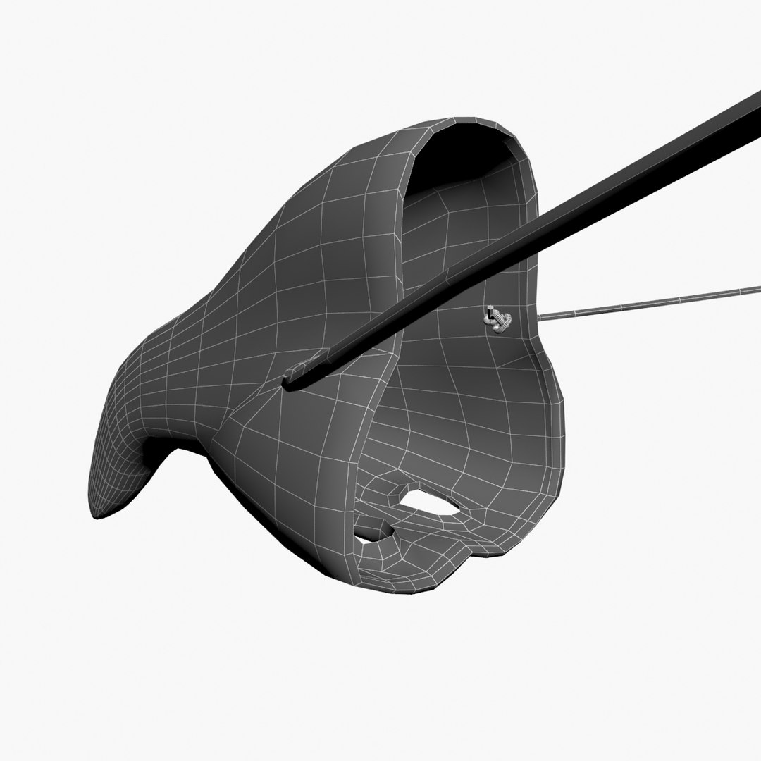 Witch S Nose 3D Model - TurboSquid 1214211