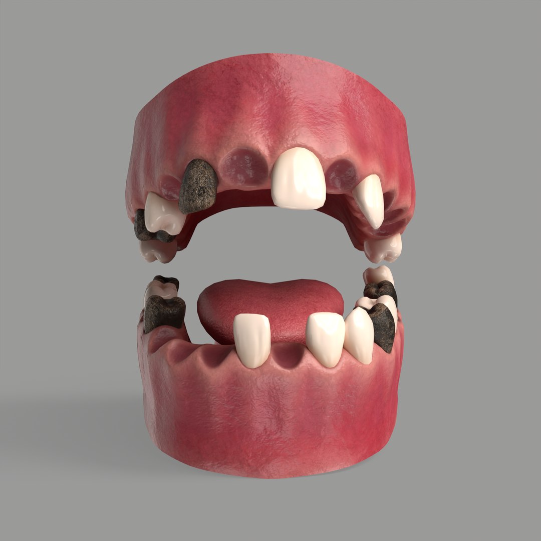 Human Teeth 3D - TurboSquid 2122171