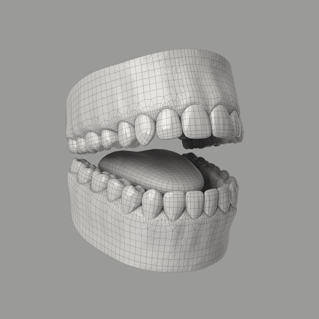 Human Teeth 3D - TurboSquid 2122171