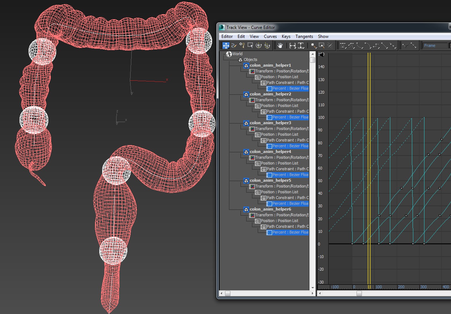 3d Model Human Colon Animation