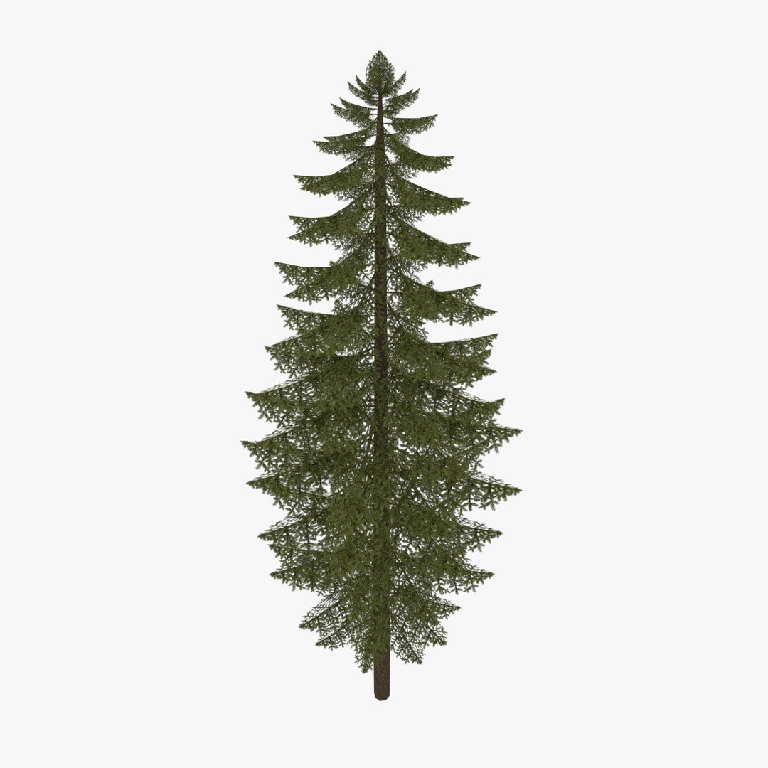 fir tree 3ds