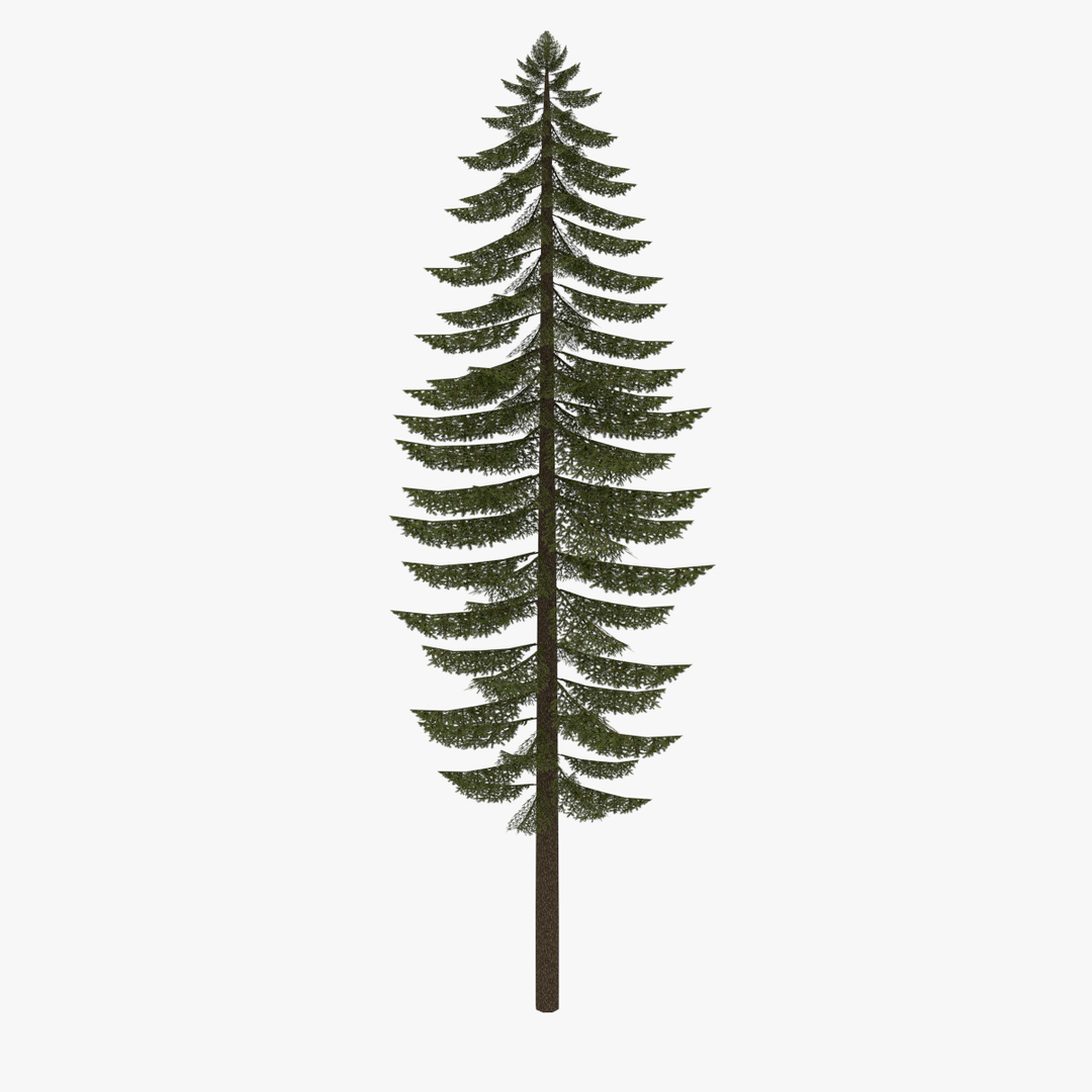 fir tree 3ds
