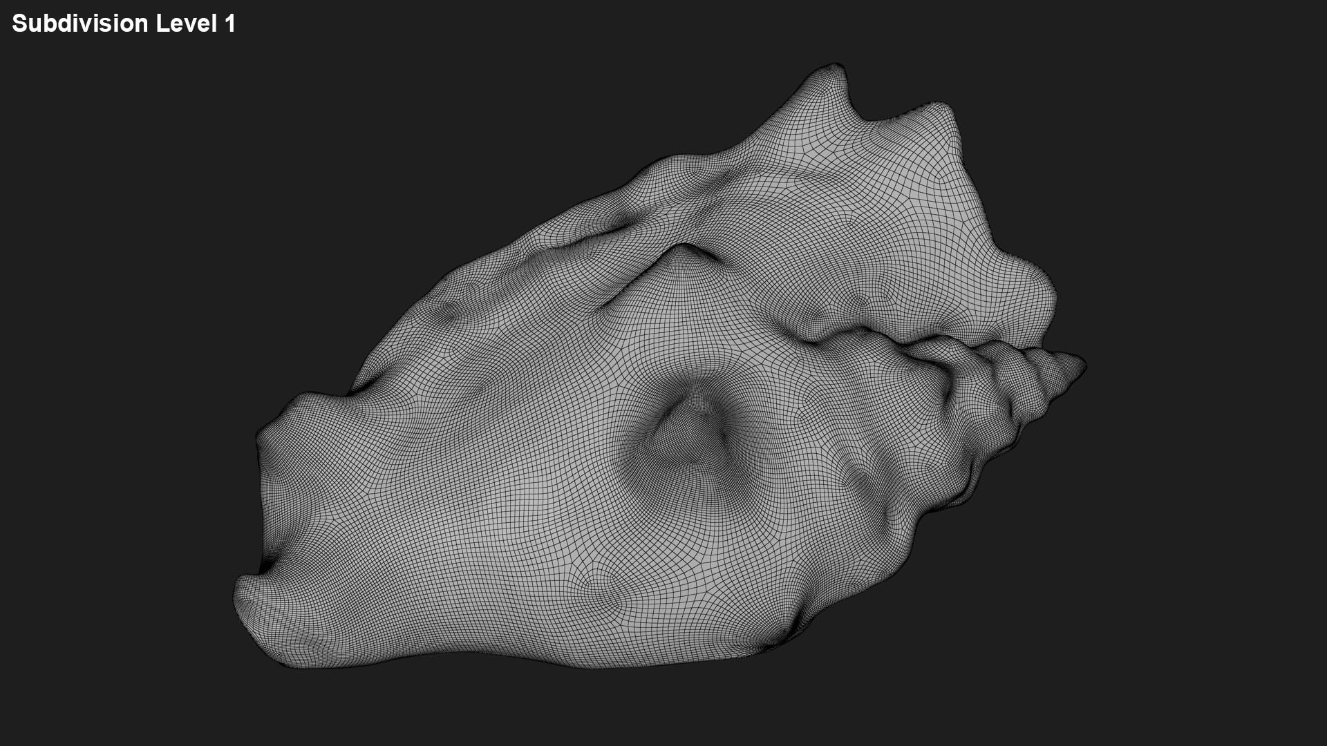 Strombus Sinuatus 01 Model - TurboSquid 2395378