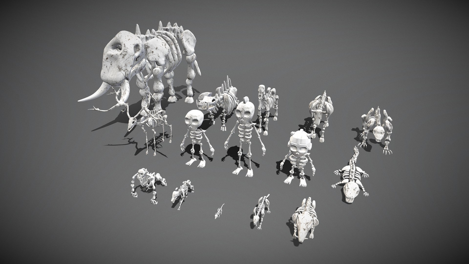 Skeleton Package Model - TurboSquid 2212263