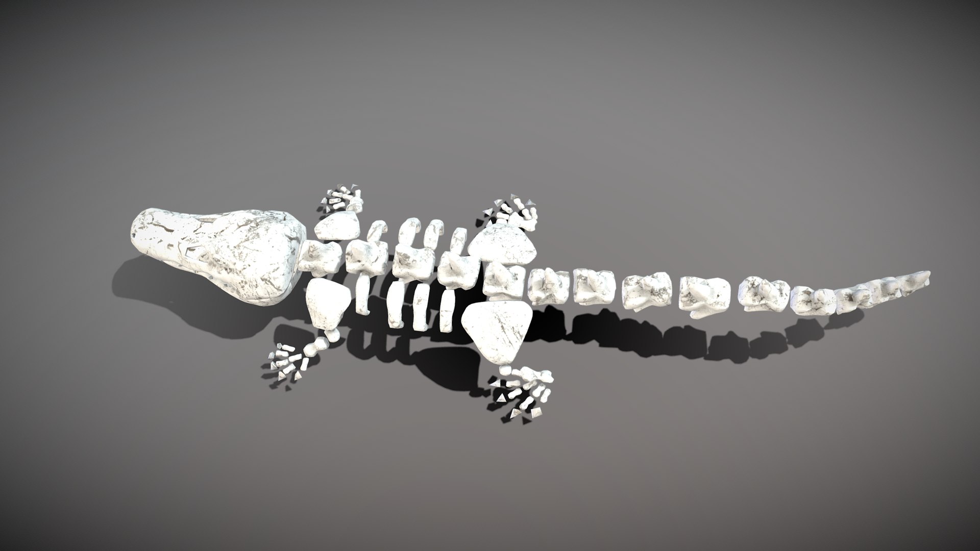 Skeleton Package Model - TurboSquid 2212263