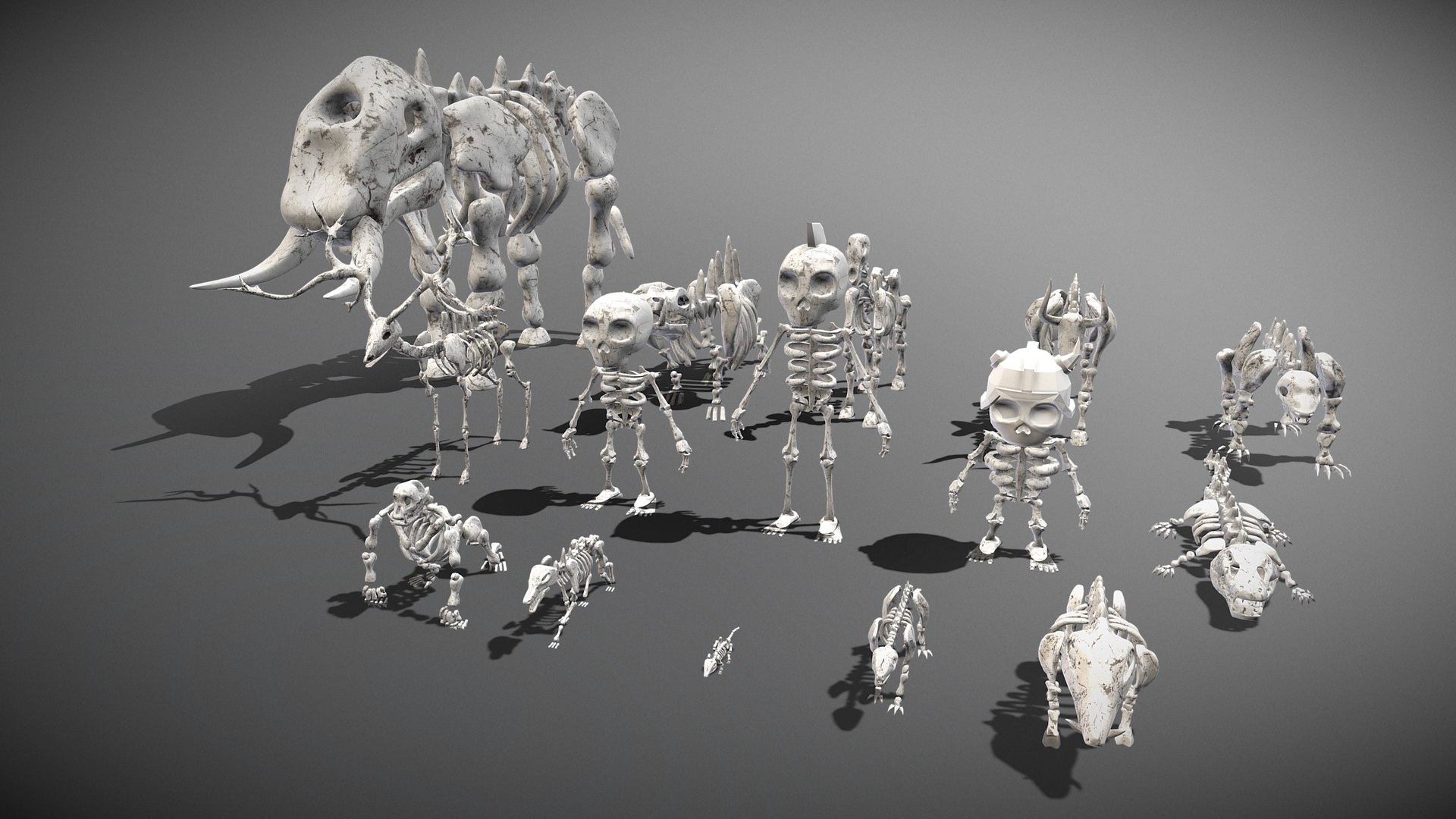 Skeleton Package Model - TurboSquid 2212263