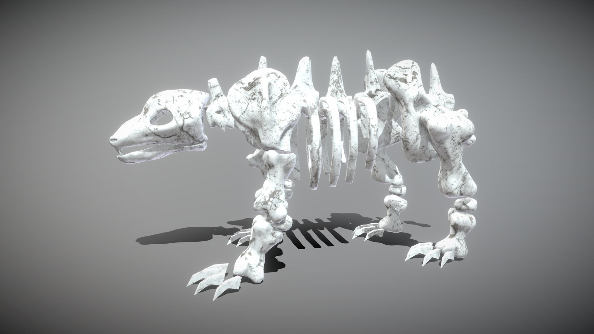 Skeleton Package Model - TurboSquid 2212263