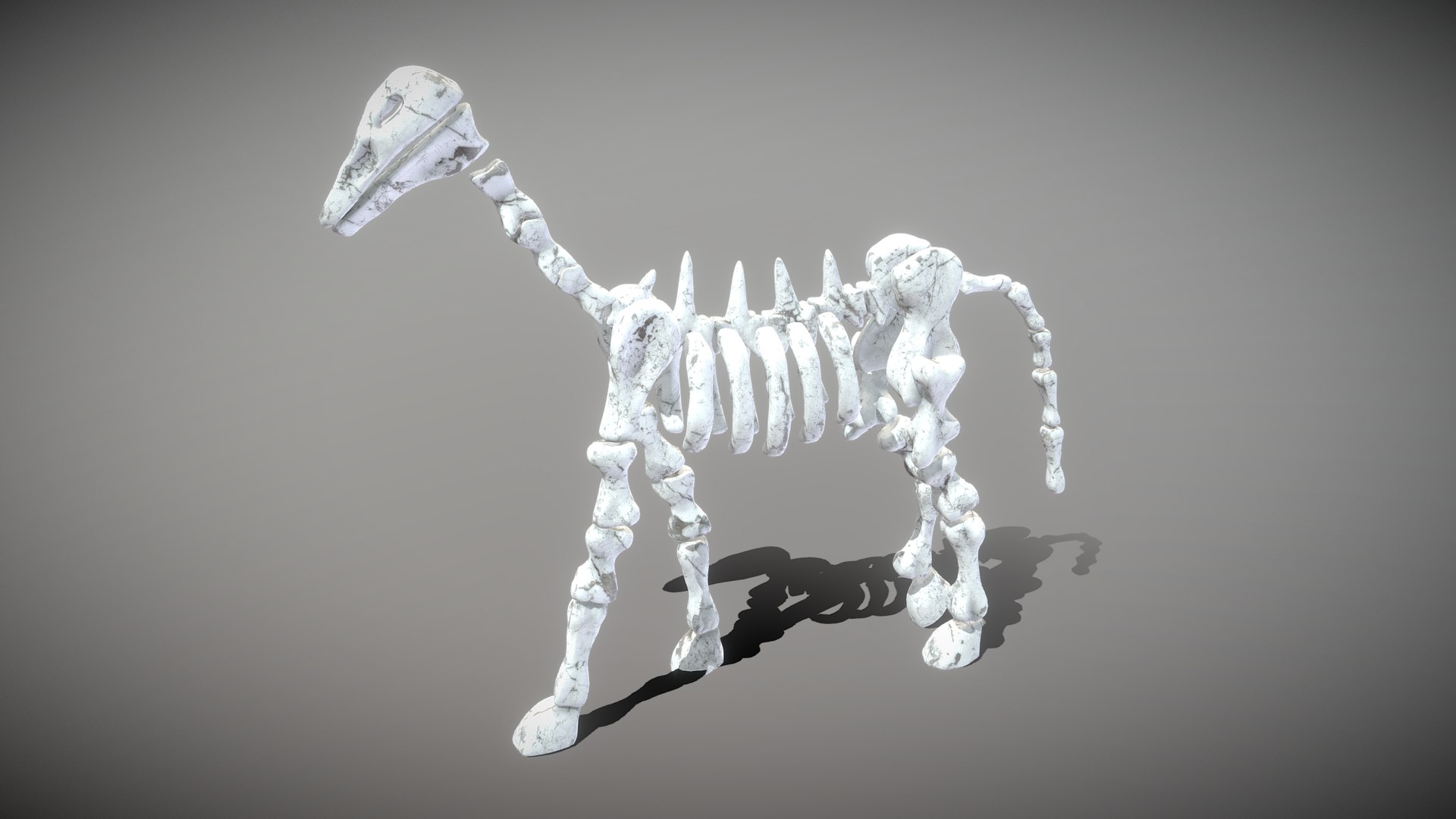 Skeleton Package Model - TurboSquid 2212263