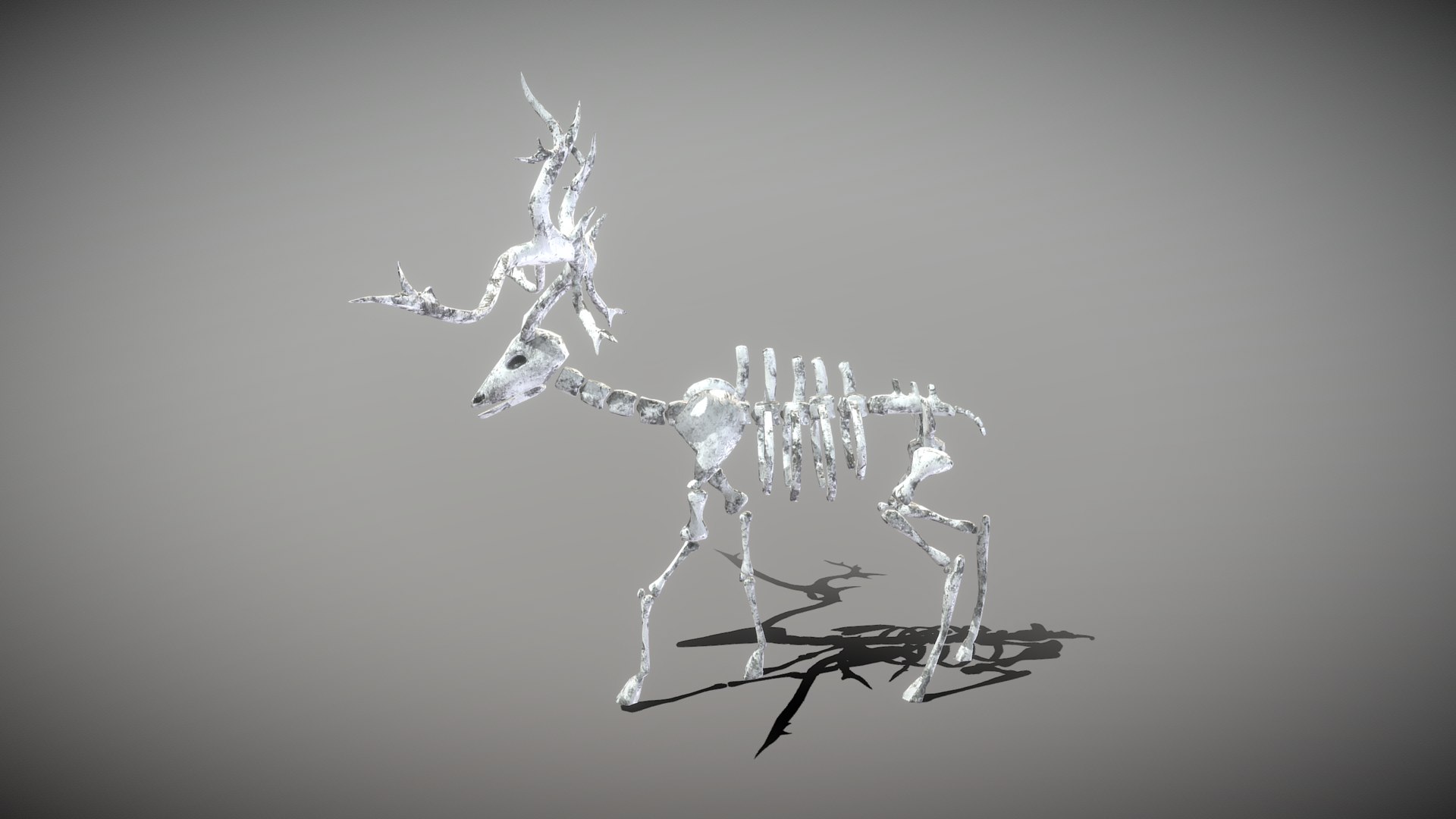 Skeleton Package Model - TurboSquid 2212263