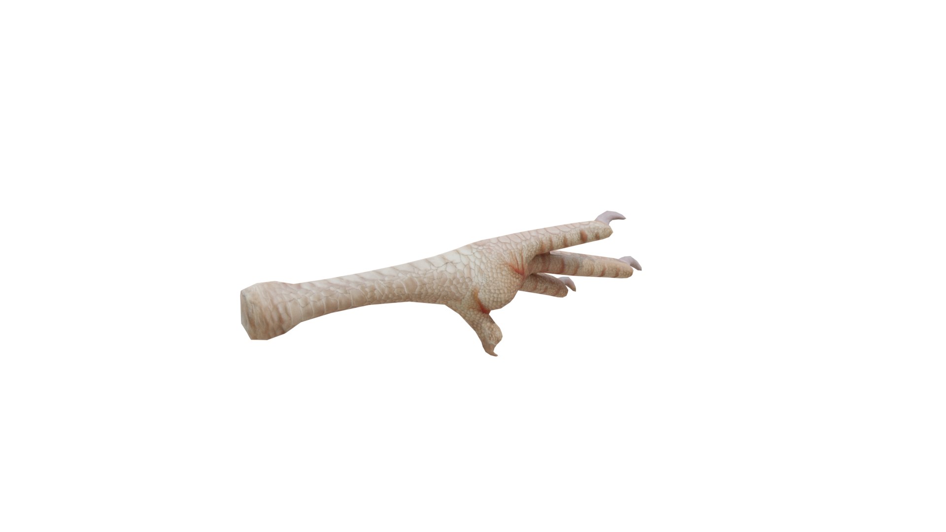 Chicken Foot 3D Model - TurboSquid 1954721