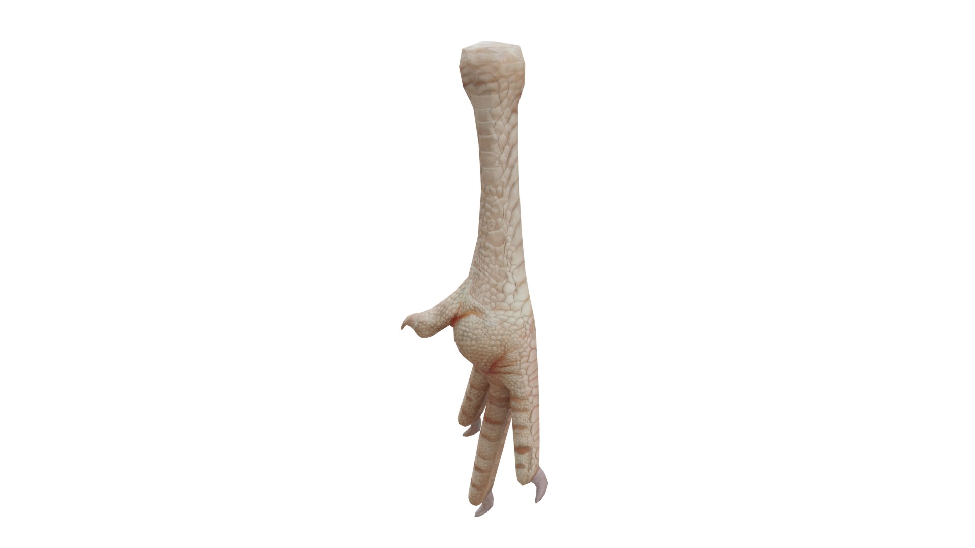 Chicken Foot 3D Model - TurboSquid 1954721