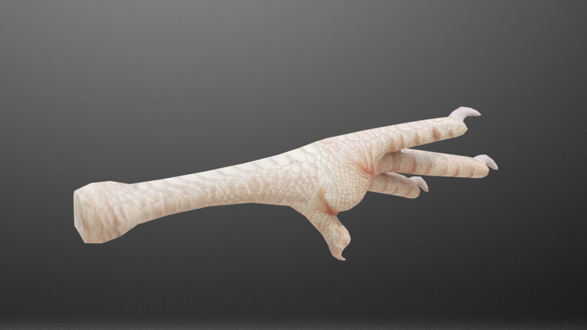 Chicken Foot 3D Model - TurboSquid 1954721