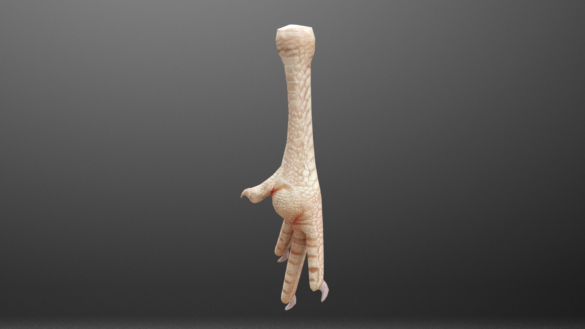 Chicken Foot 3D Model - TurboSquid 1954721