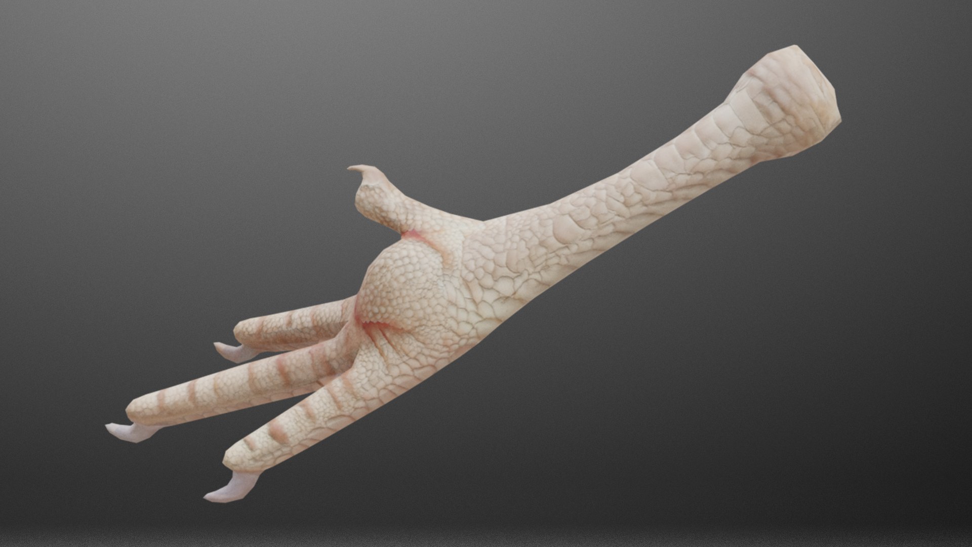 Chicken Foot 3D Model - TurboSquid 1954721