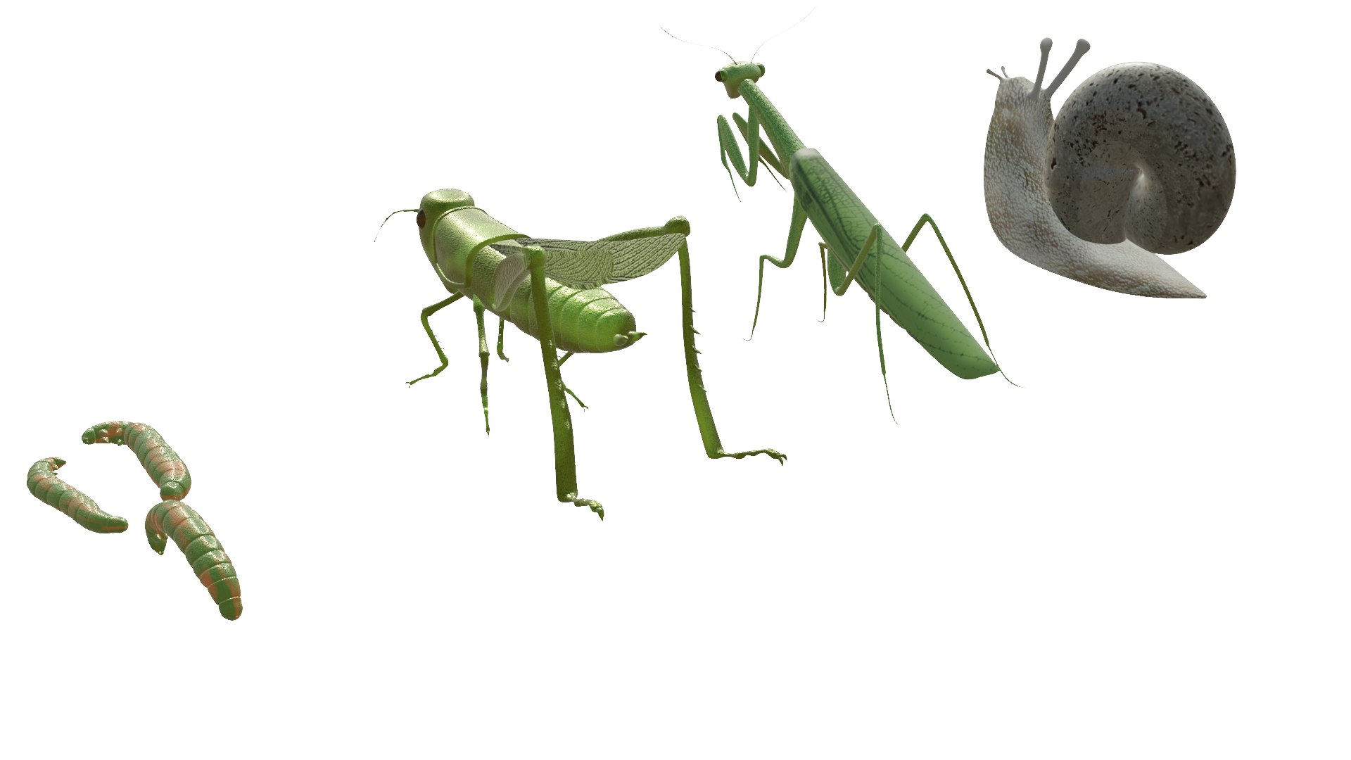 3D insects - TurboSquid 1896991