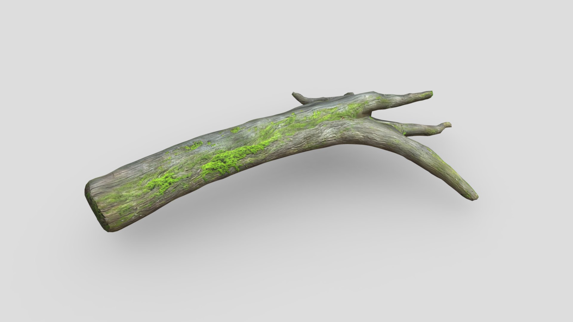 Fallen Tree 3D - TurboSquid 2247097