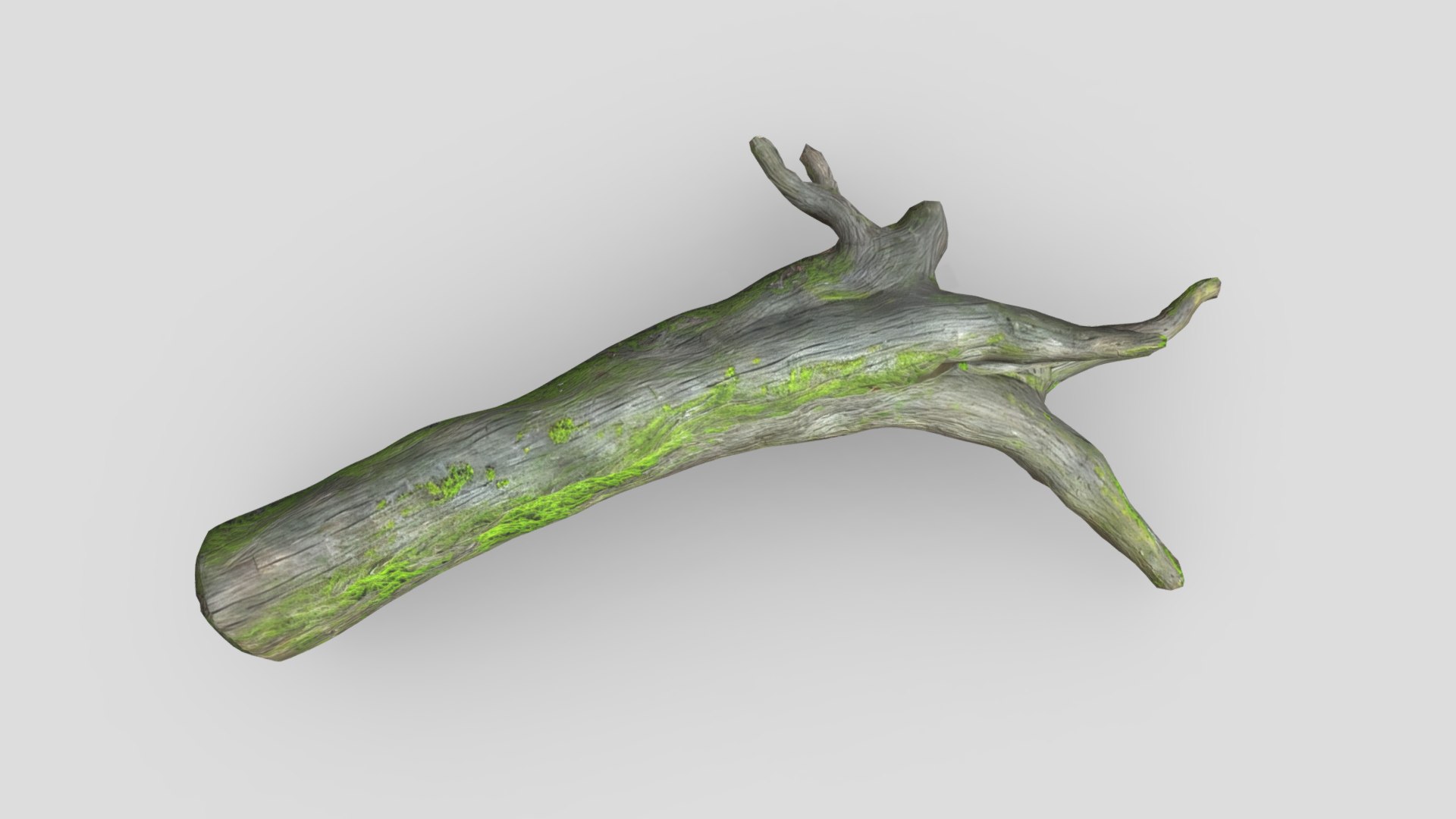 Fallen Tree 3D - TurboSquid 2247097