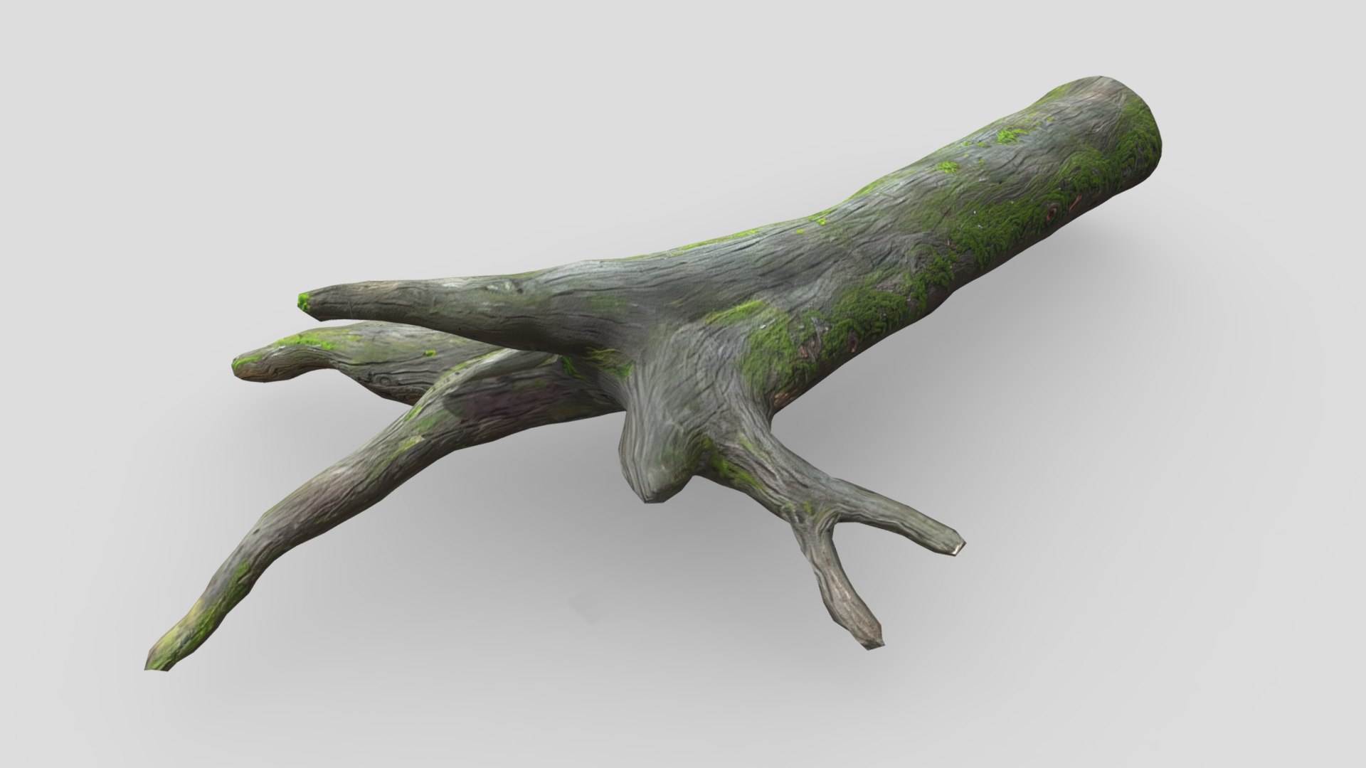 Fallen Tree 3D - TurboSquid 2247097