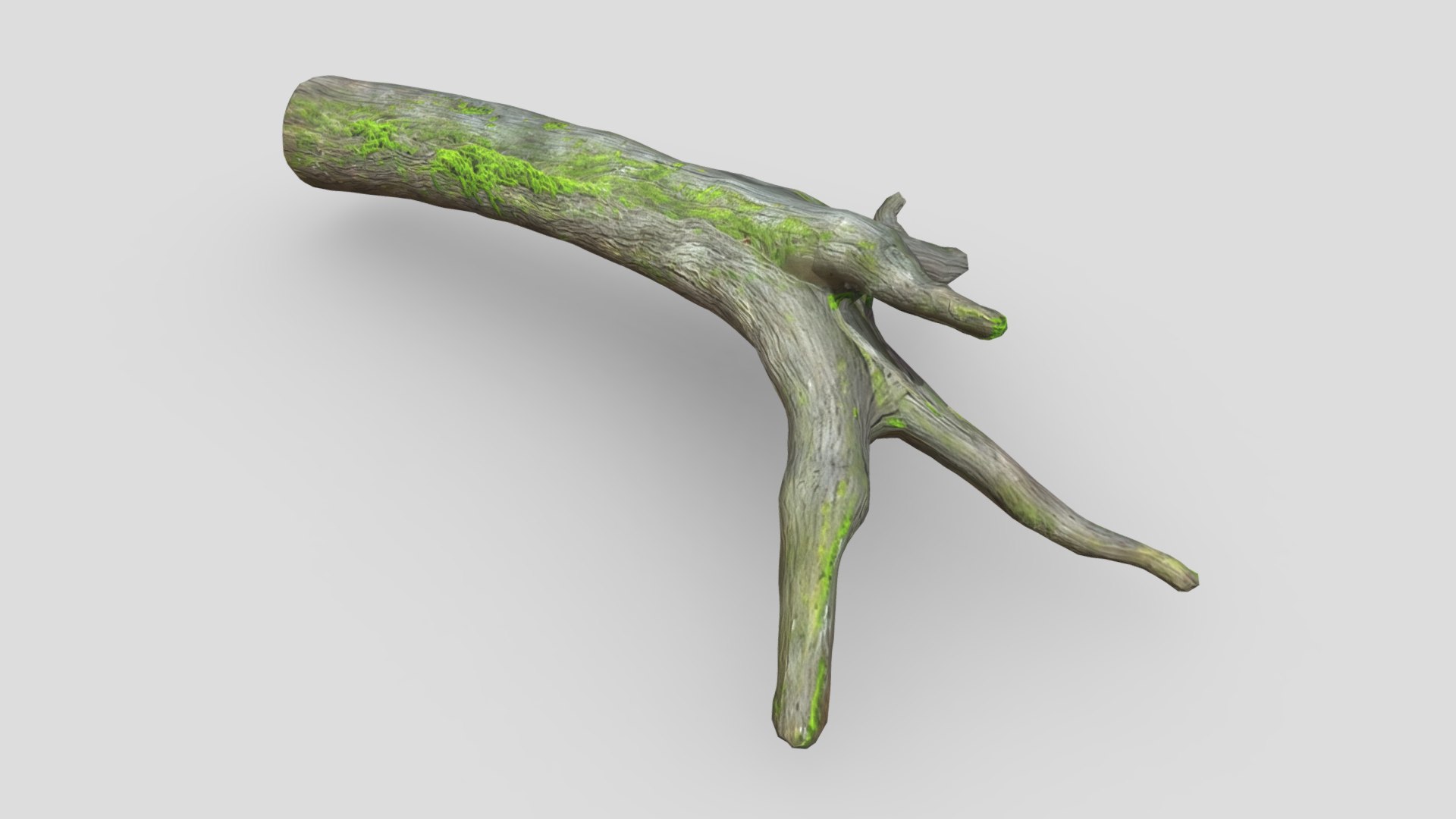 Fallen Tree 3D - TurboSquid 2247097