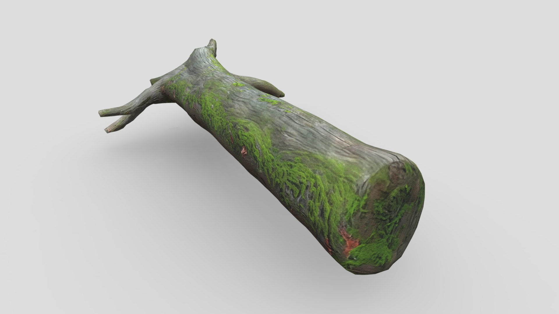 Fallen Tree 3D - TurboSquid 2247097