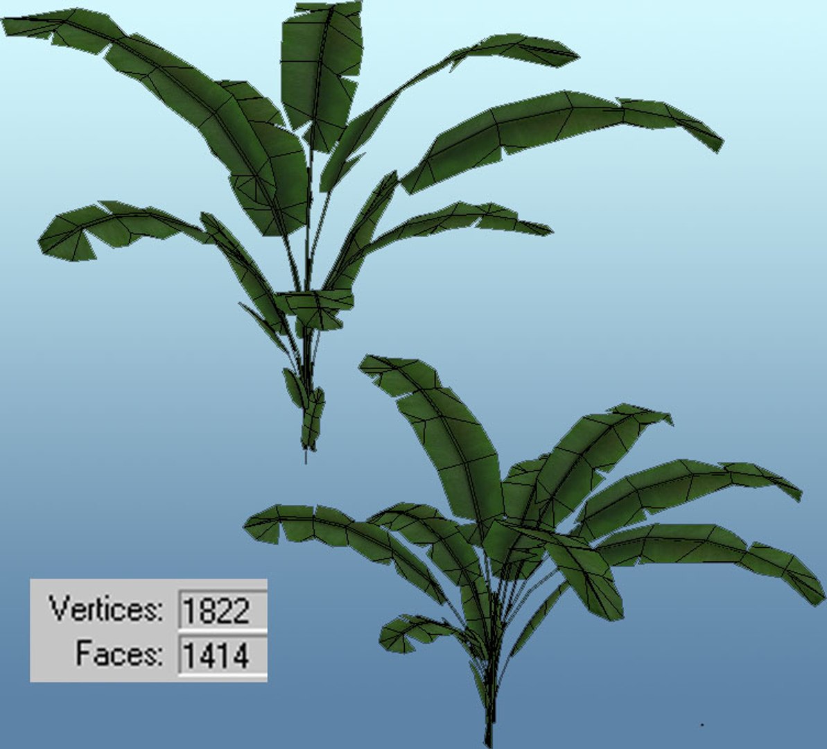 Leaf Japanese Banana Max