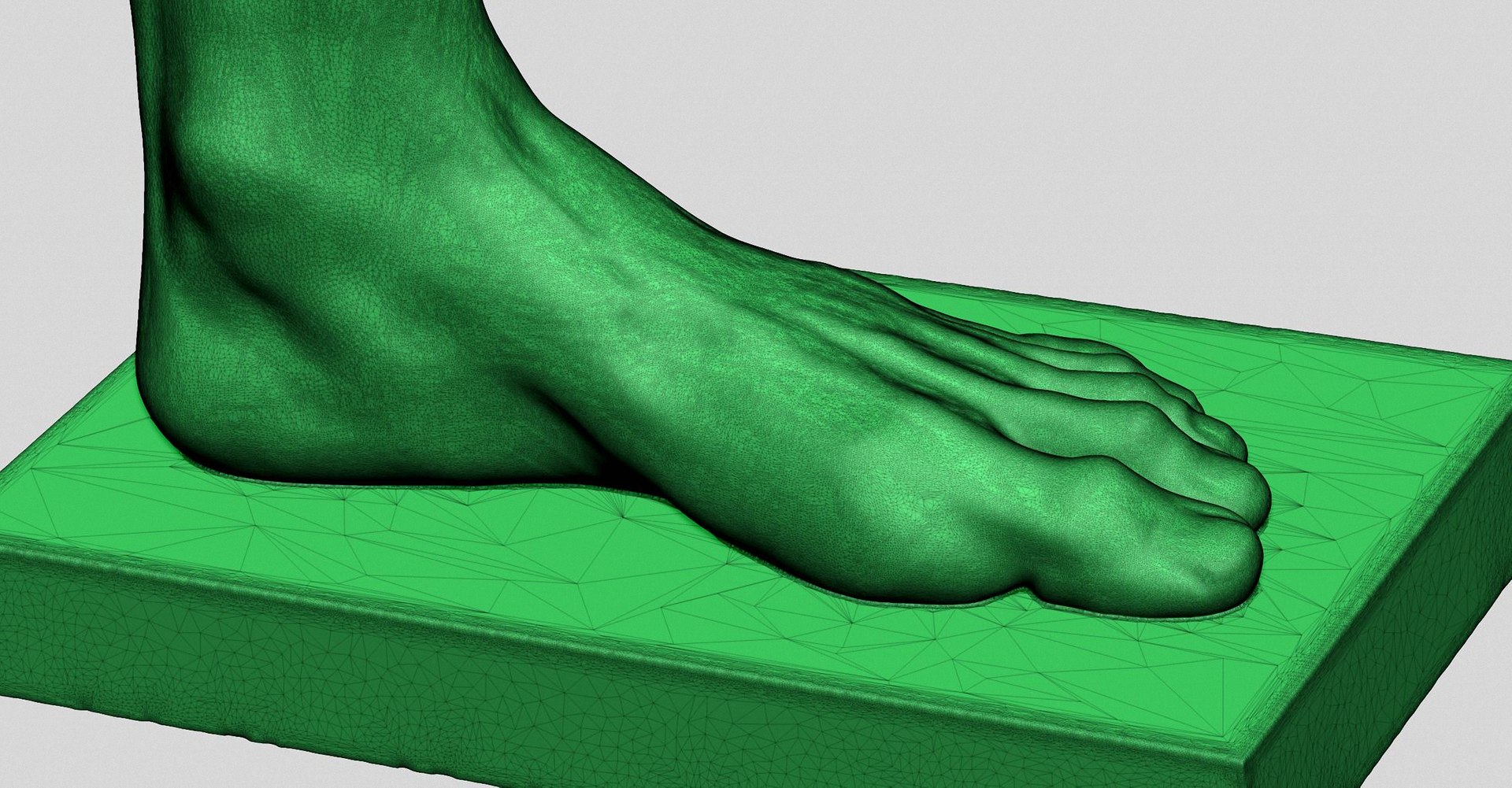 Foot Printable V2 3D Model - TurboSquid 1891910