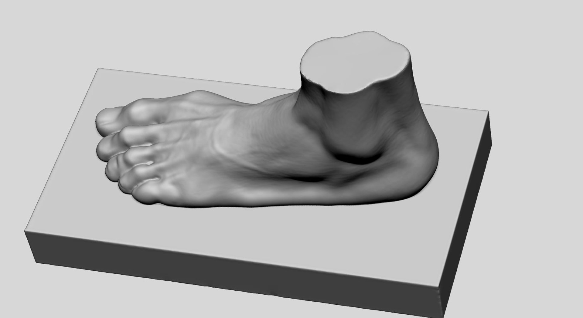 Foot Printable V2 3D Model - TurboSquid 1891910