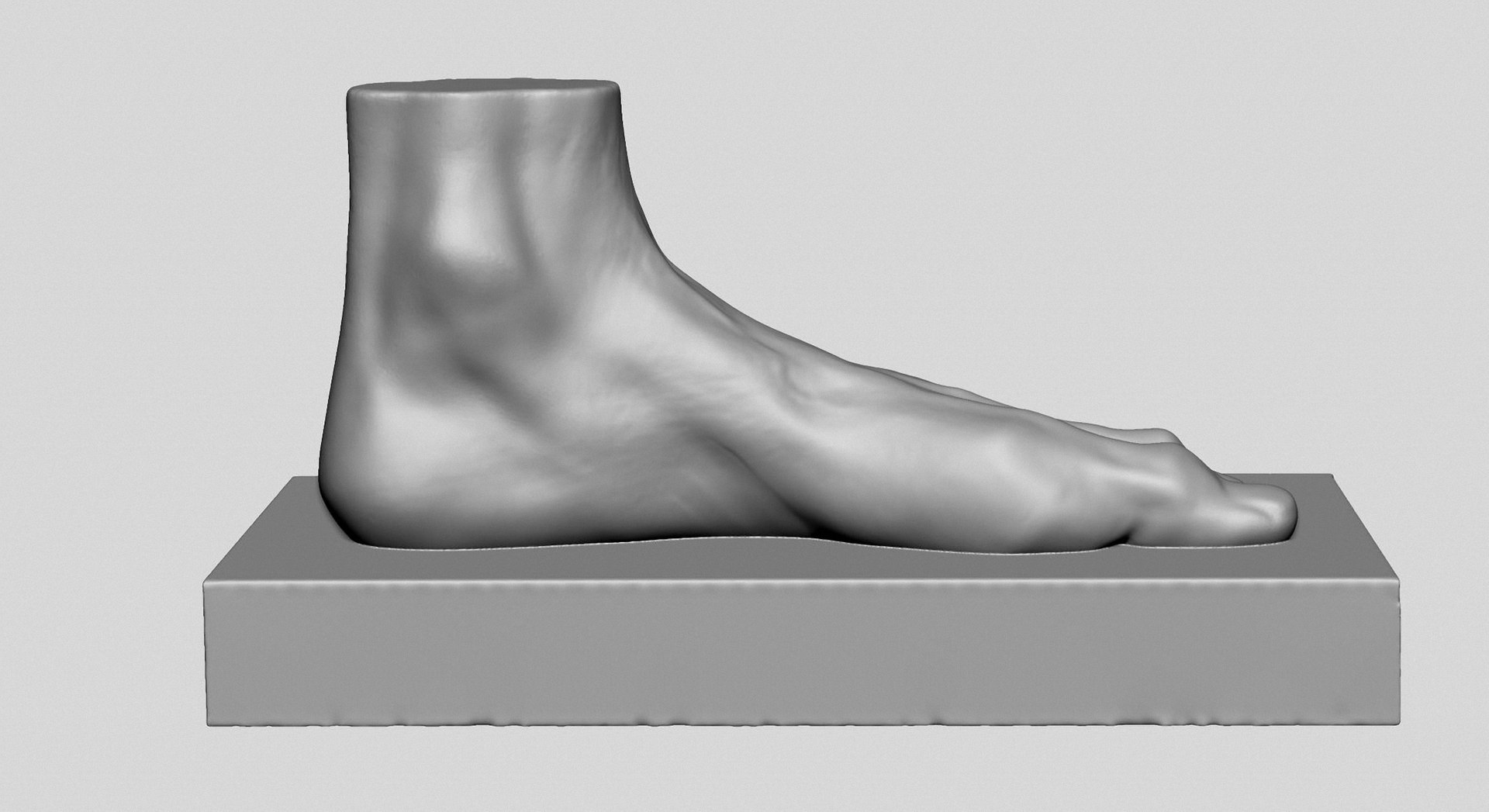 Foot Printable V2 3D Model - TurboSquid 1891910