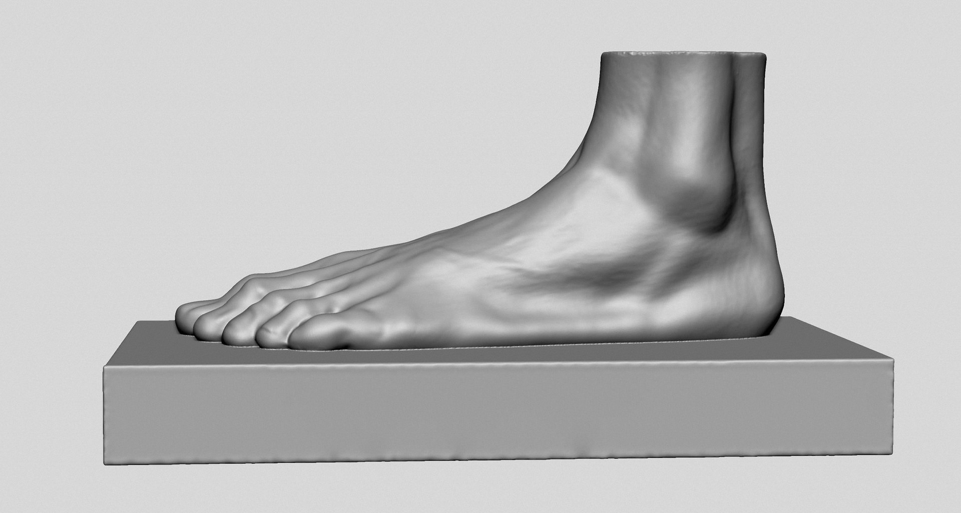 Foot Printable V2 3D Model - TurboSquid 1891910