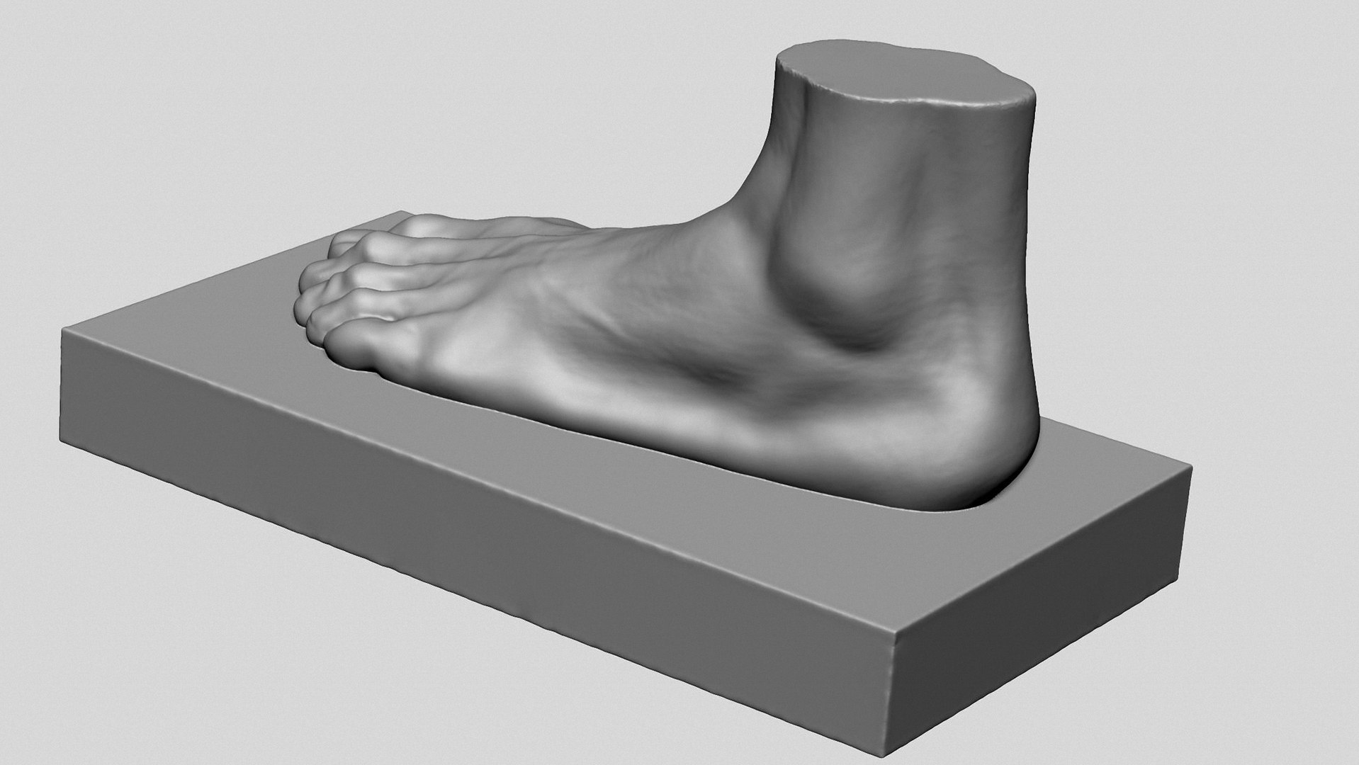 Foot Printable V2 3D Model - TurboSquid 1891910